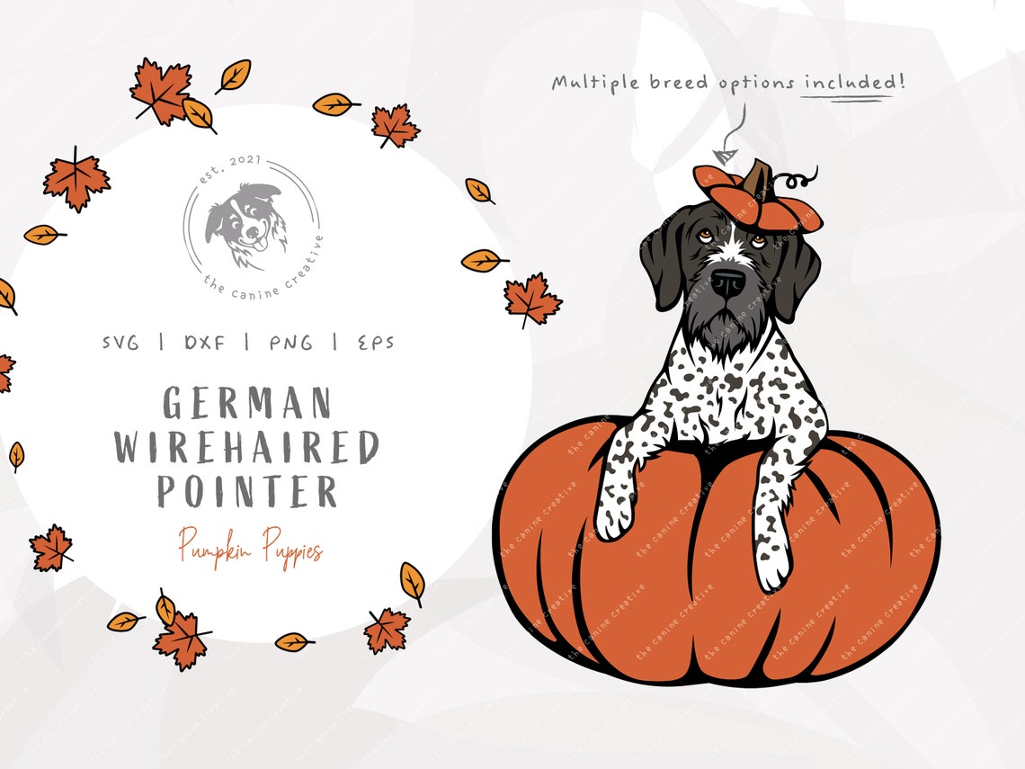 German Wirehaired Pointer SVG GWP SVG Pumpkin Dog Png Dog - Etsy