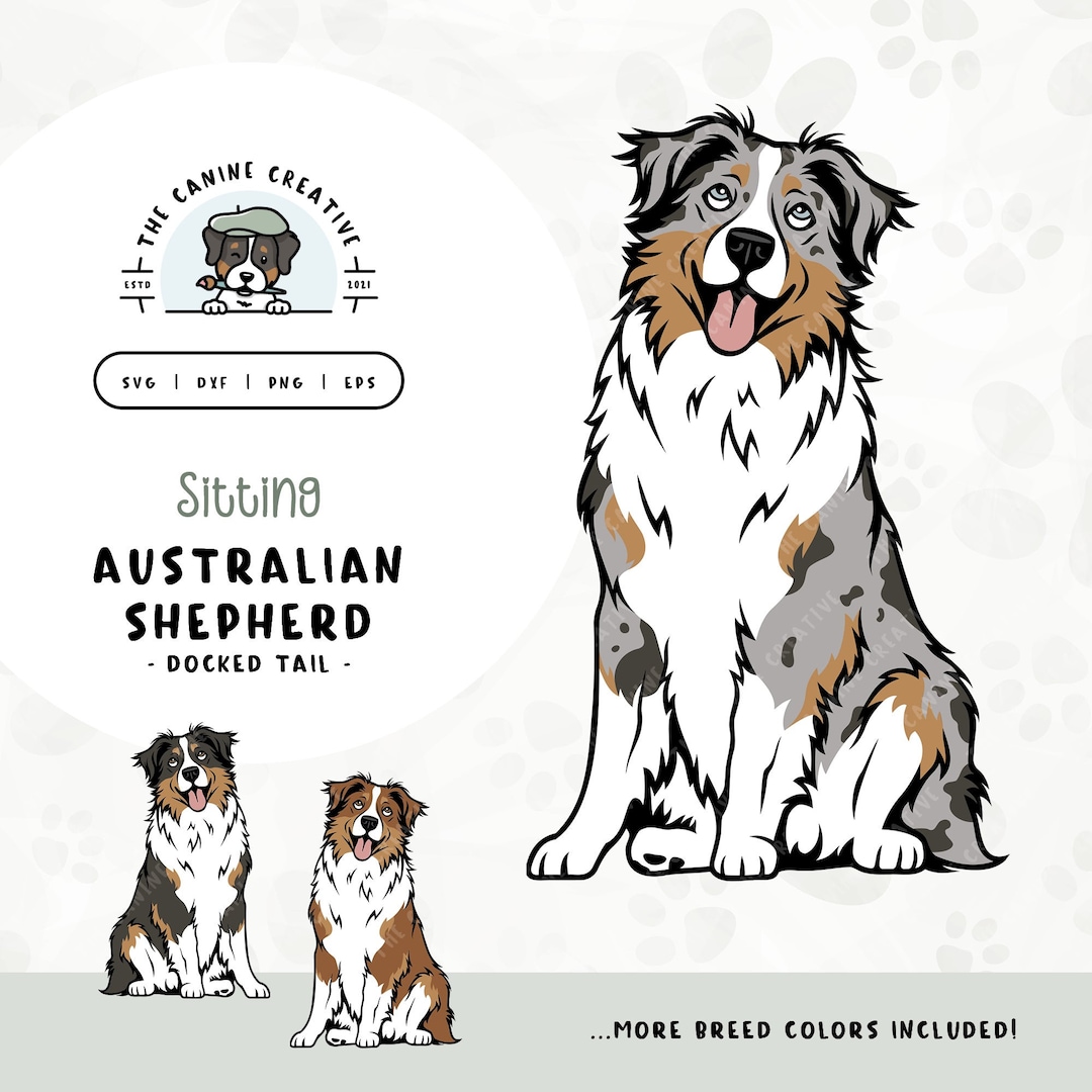 Sitting Australian Shepherd SVG Mini Aussie Clipart PNG Printable Pet ...