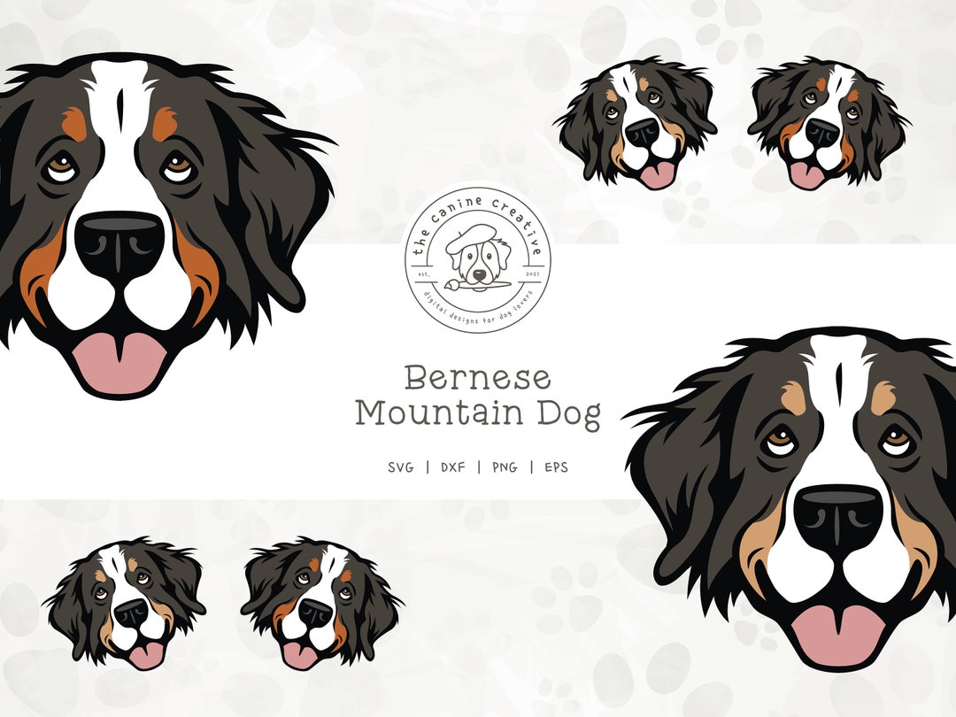 Bernese Mountain Dog SVG Bundle, Berner PNG, Dog Face SVG, Dog Breed ...