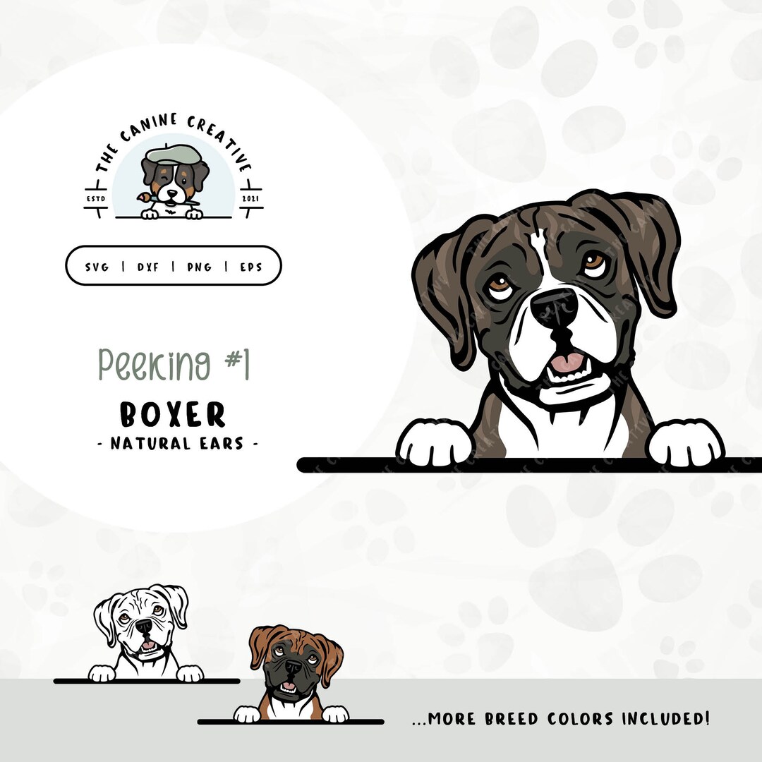 Peeking Boxer Dog With Floppy Ears SVG - Option 1 | Cute Puppy Clipart ...