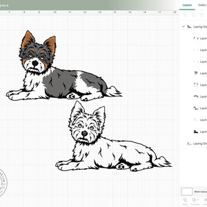 Yorkshire Terriers Clip Art, Yorkie SVG, Biewer Terrier PNG, Undocked ...