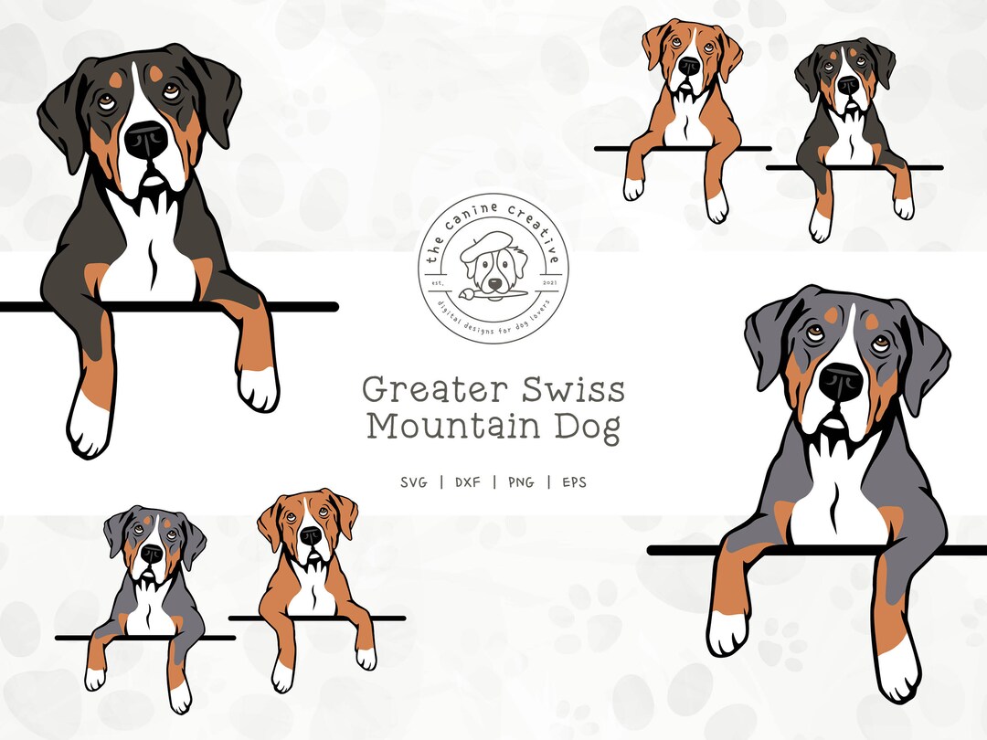 Greater Swiss Mountain Dogs SVG, Swissie Clipart, Peeking Dog PNG #2 ...
