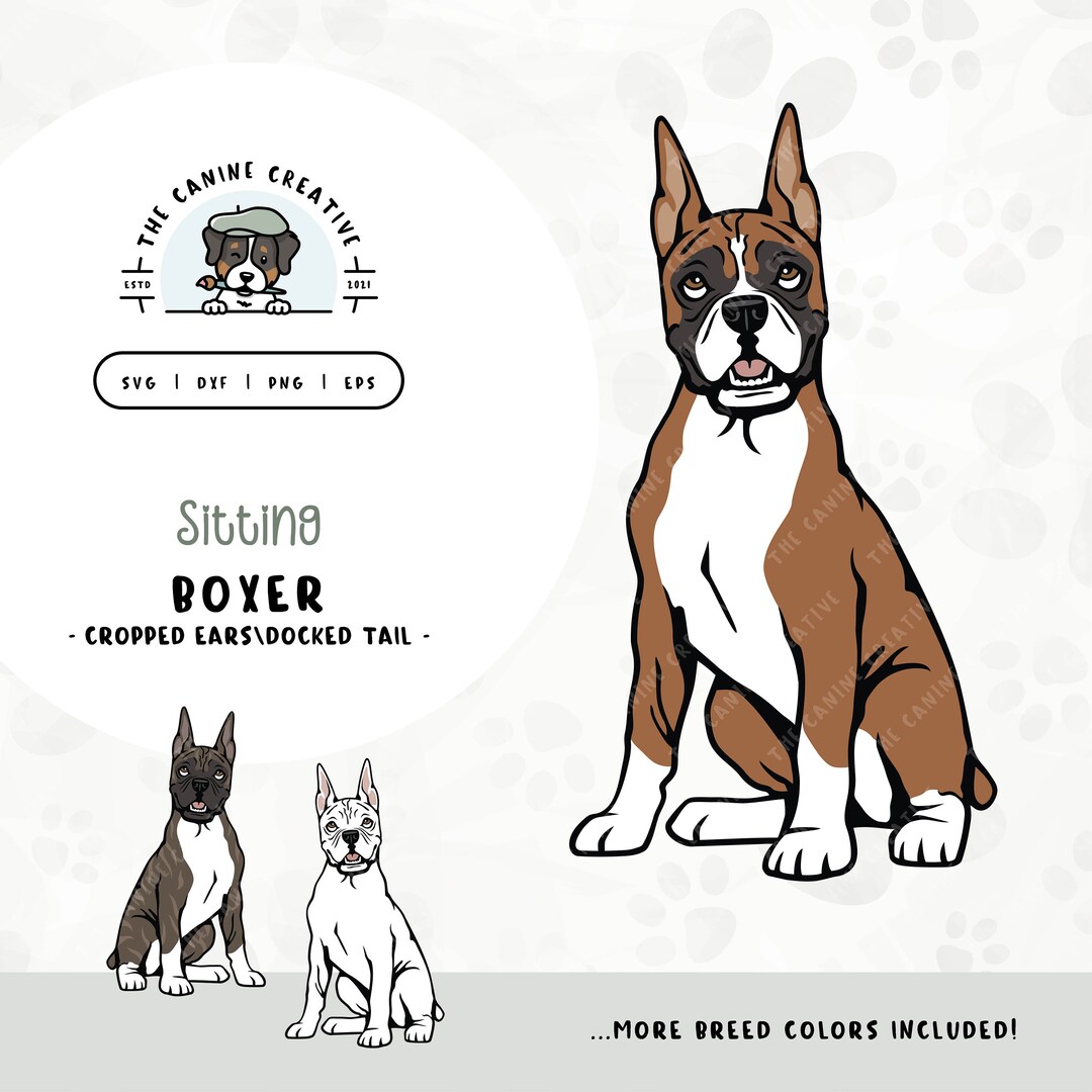 Sitting Boxer Dog With Cropped Ears SVG | Cute Puppy Clipart PNG ...