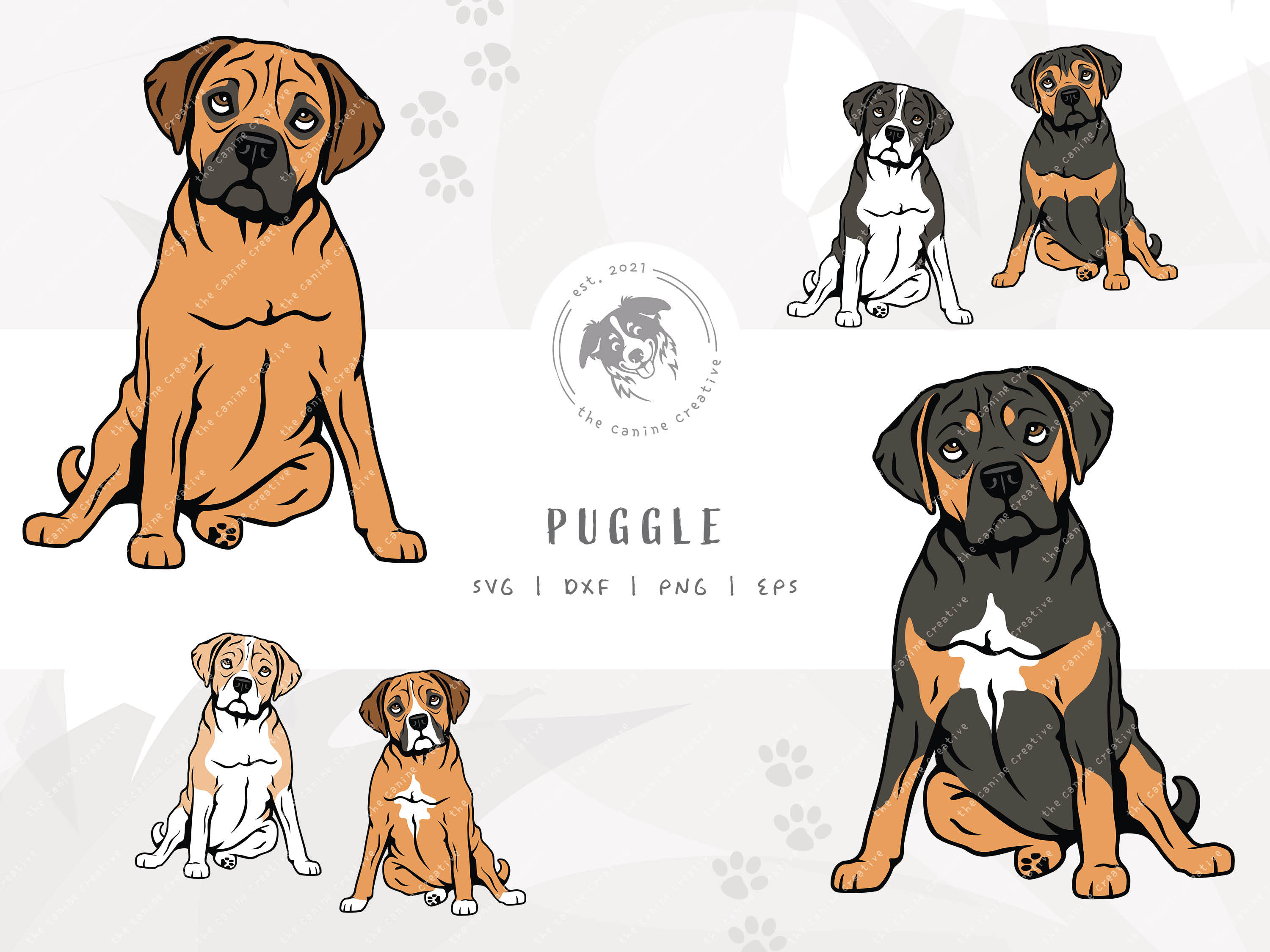 Pug Mixed With Beagle