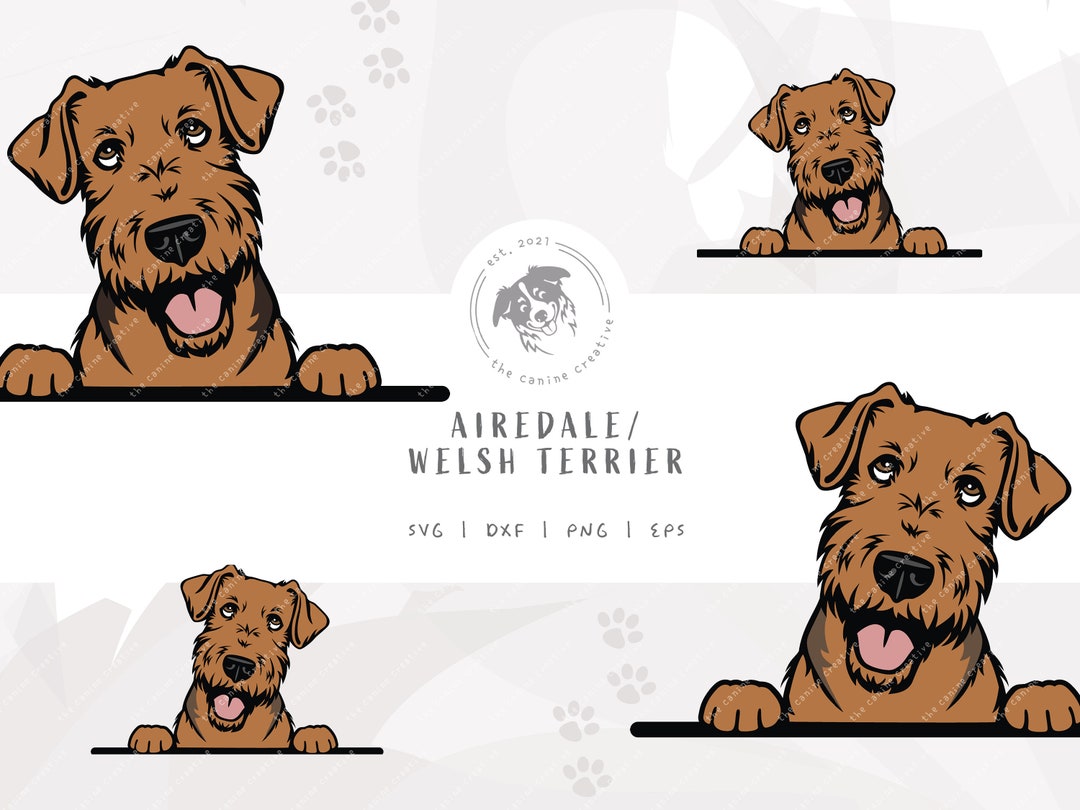 Airedale SVG, Airedale Terrier PNG, Welsh Terrier Art, Peeking Dog Cut ...