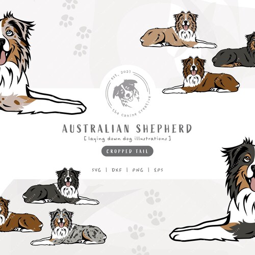 Australian Shepherd Puppy PNG - Etsy