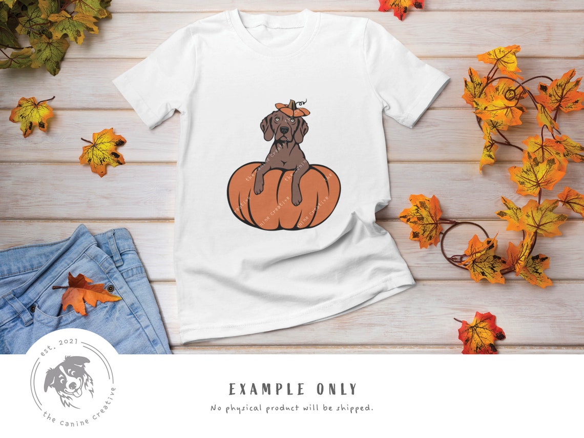 German Shorthaired Pointer SVG GSP SVG Pumpkin Dog Png Dog - Etsy