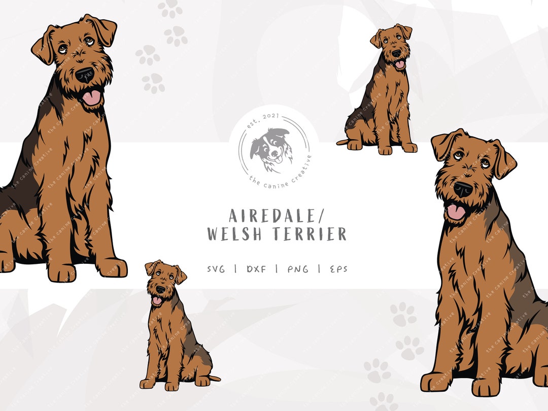 Airedale SVG, Airedale Terrier PNG, Welsh Terrier Art, Sitting Dog ...