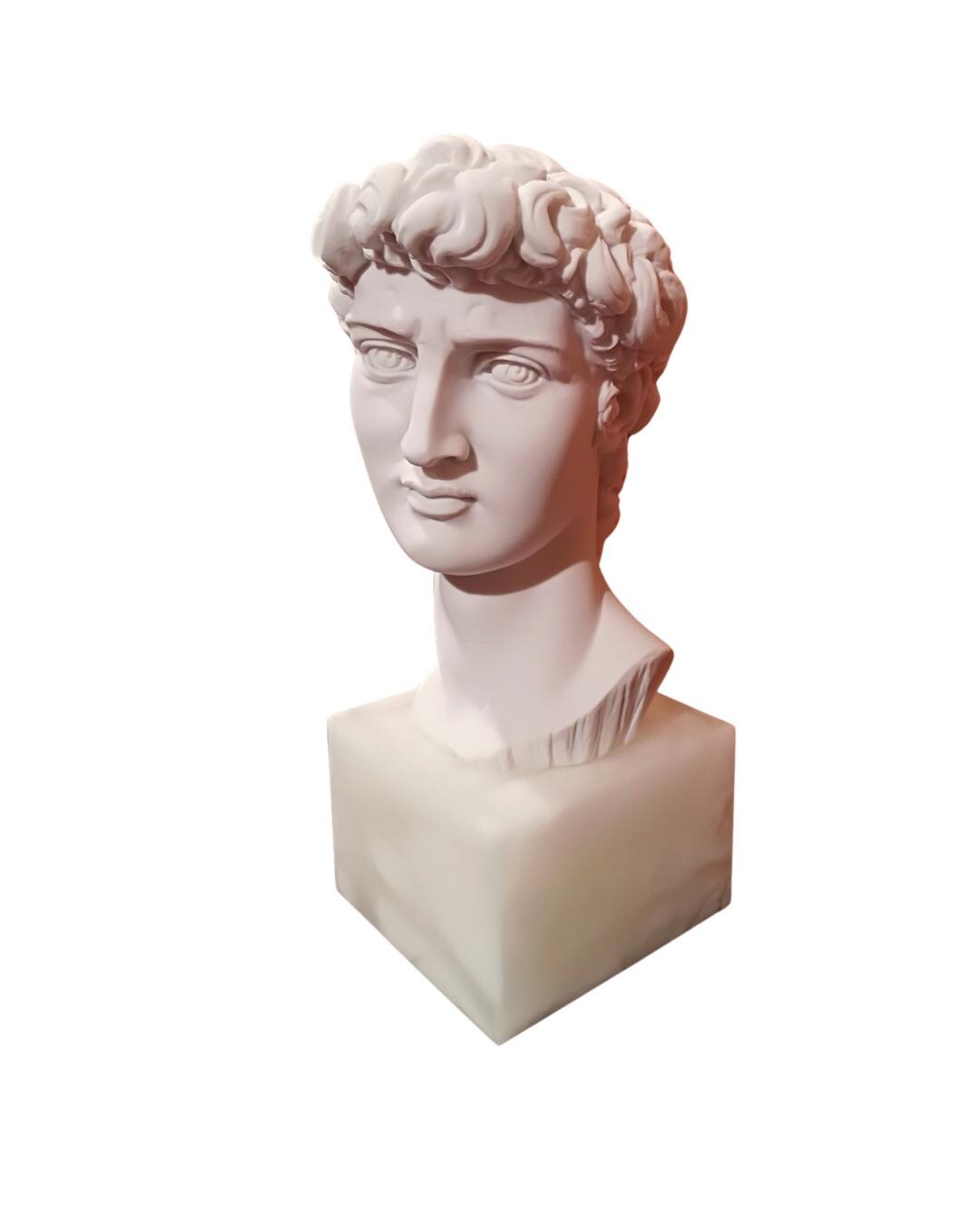 Head of David by Michelangelo Statue in White Marble Dust | Made in ...