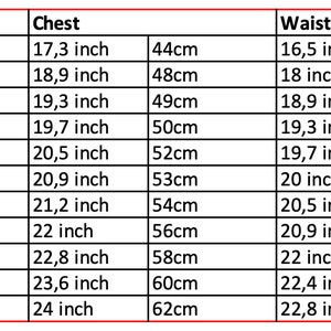 Elsa Inspired Costume, Elsa Inspired Dress, Frozen Birthday Girl Outfit ...