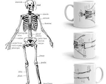 Anatomy Skeleton Mug - Etsy