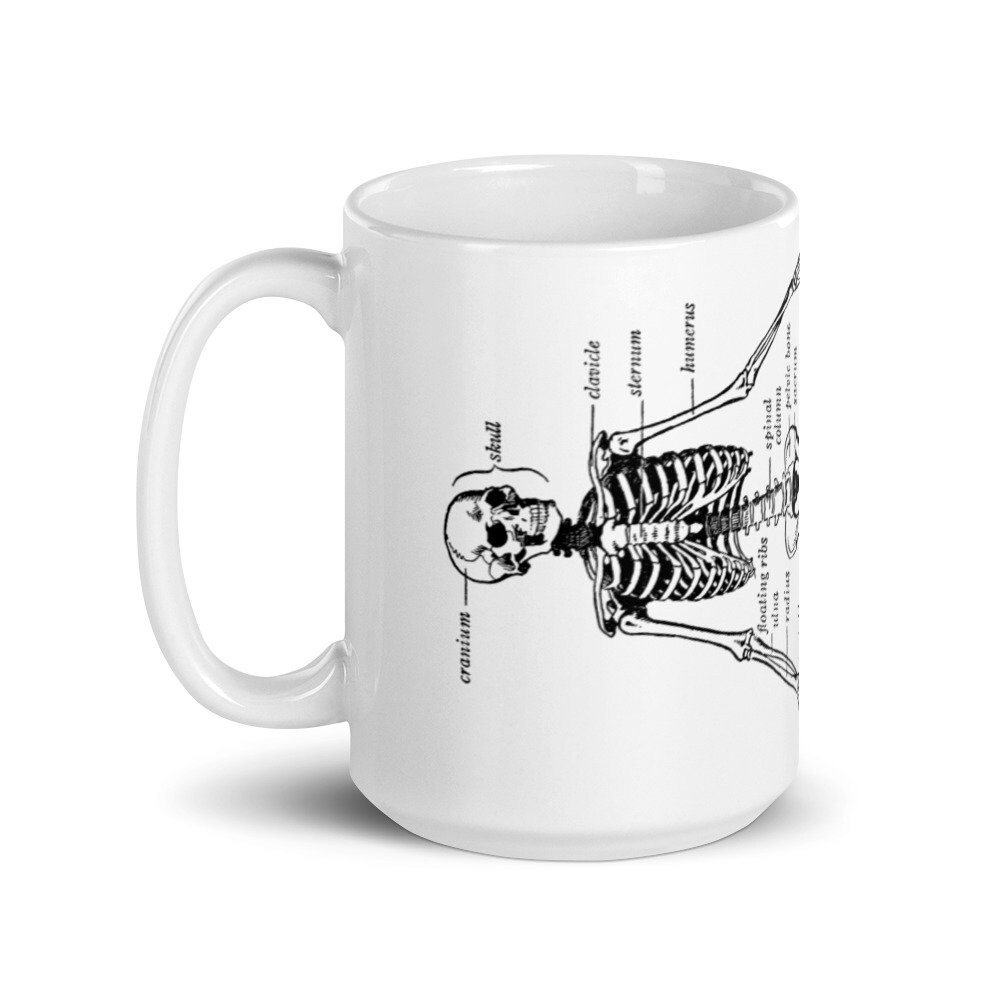 Skeleton Human Anatomy White Glossy Mug, Gift for Science Lovers or Med ...
