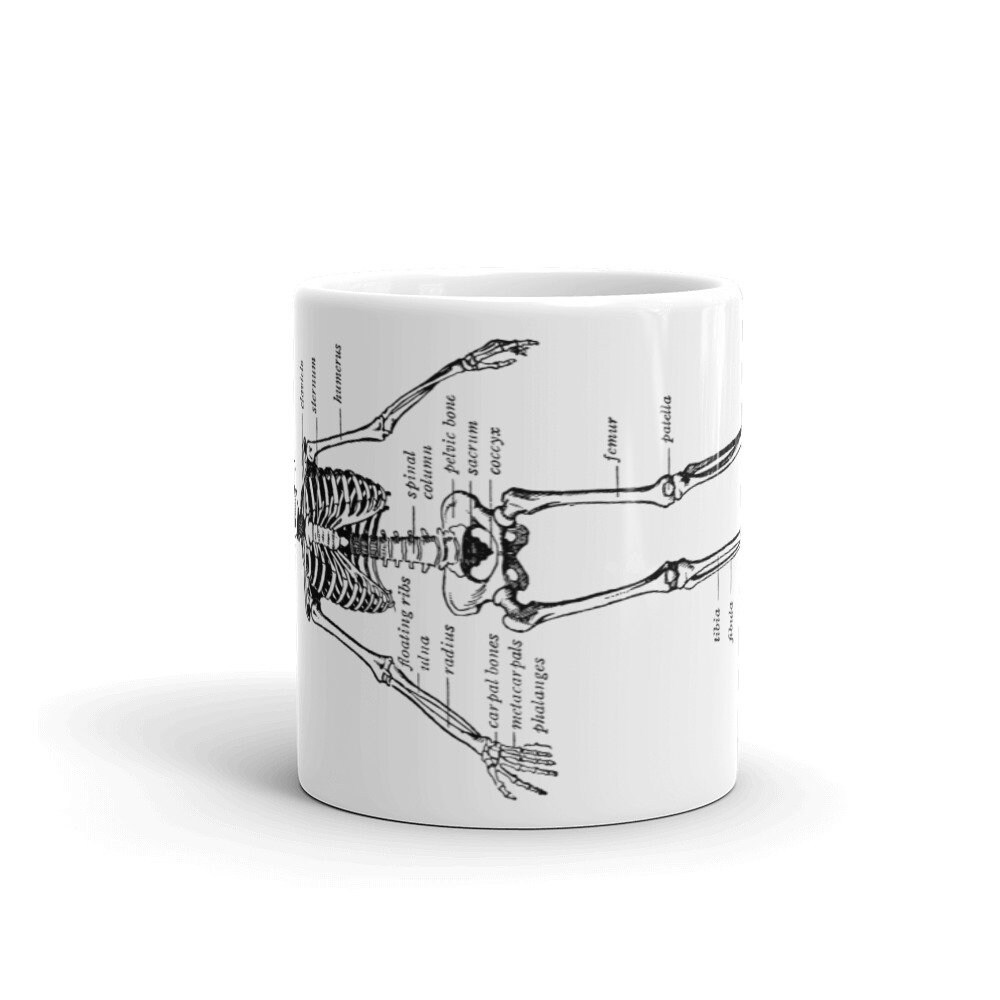 Skeleton Human Anatomy White Glossy Mug, Gift for Science Lovers or Med ...