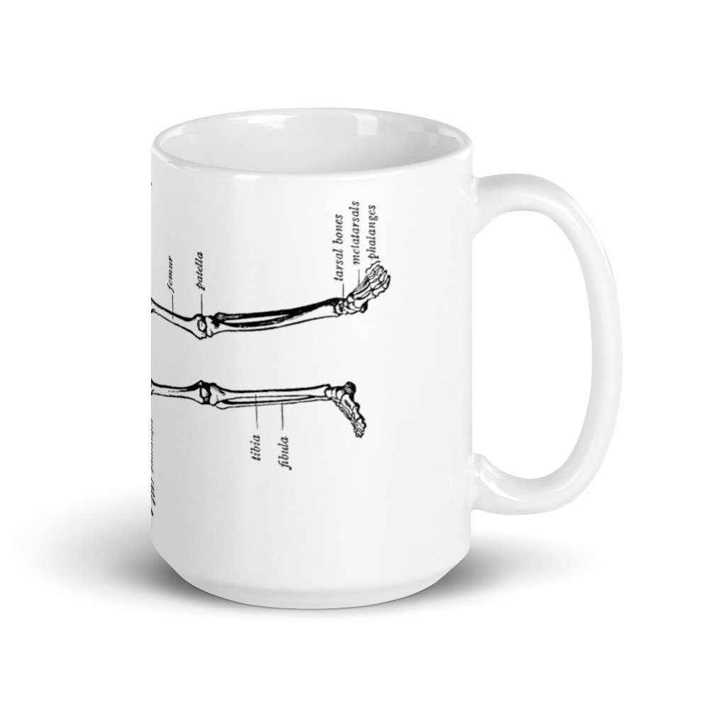 Skeleton Human Anatomy White Glossy Mug, Gift for Science Lovers or Med ...