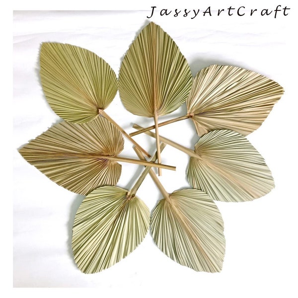 Palm Leaf Hand Fans - Etsy