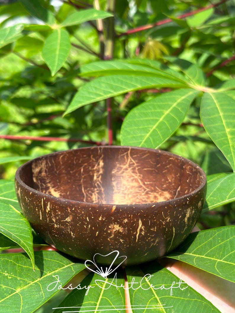 Handmade Coconut Bowl: Eco-friendly Smoothie Bowl, Home Decor - Etsy