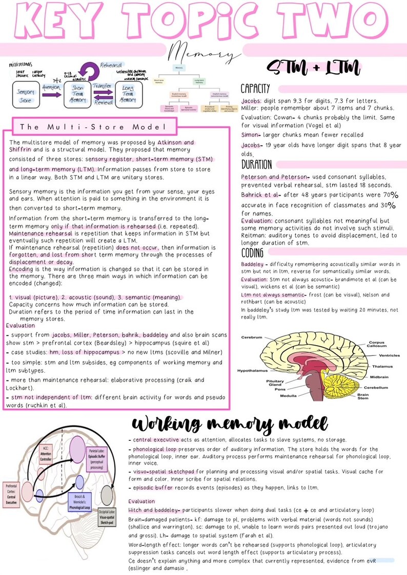 Psychology Revision Guide AQA A Level Revision Notes Digital - Etsy