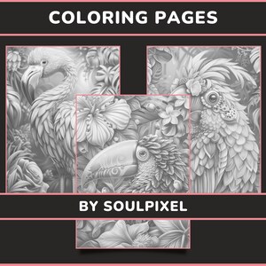 20 Tropical Birds Coloring Pages for Adults - Set 1 | Exotic Birds and ...