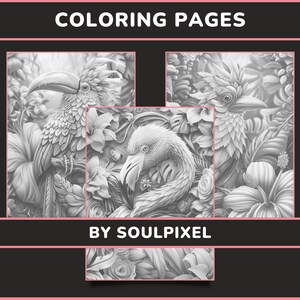 20 Tropical Birds Coloring Pages for Adults - Set 1 | Exotic Birds and ...