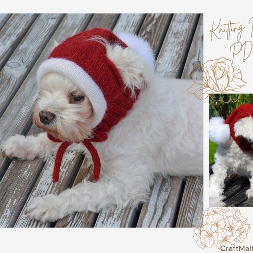 Knitting Pattern PDF: Dog Hat Size XS for Small Dog. - Etsy