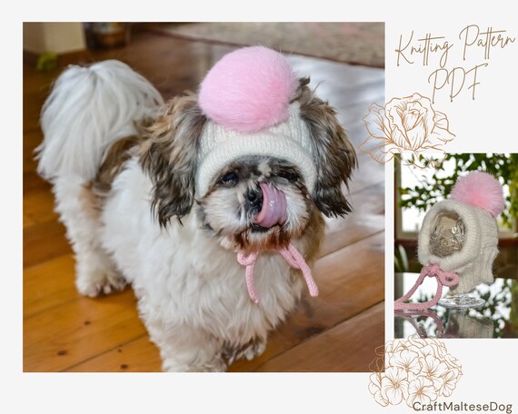 Knitting Pattern PDF: Dog Hood Size XS for Small Dog. - Etsy