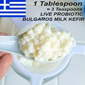 Live Organic Probiotic Milk Kefir Bulgaros Grains From CRETE, GREECE - Etsy