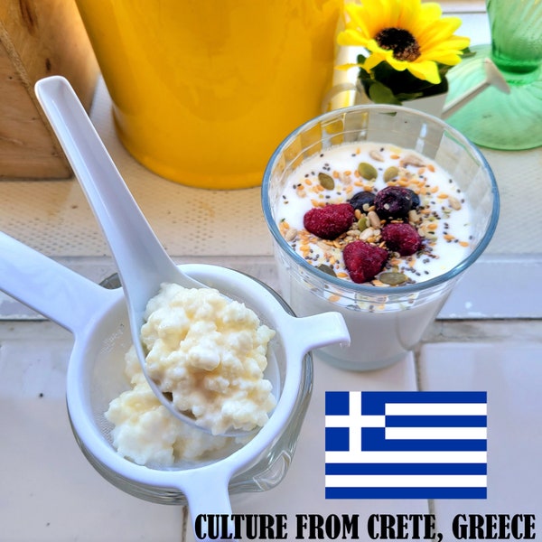 Water Kefir Grains - Etsy