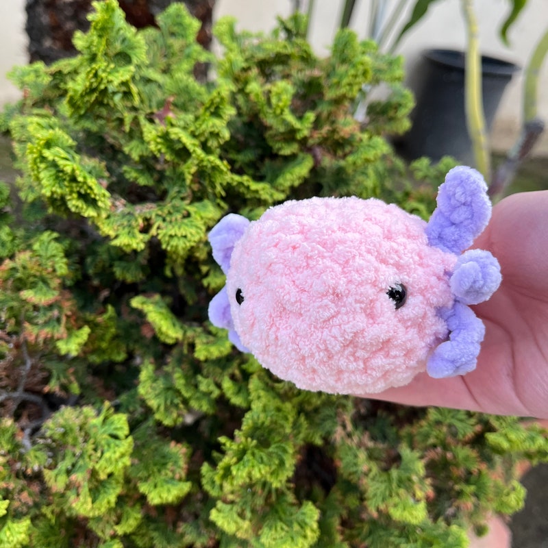 Axolotl Plush - Etsy