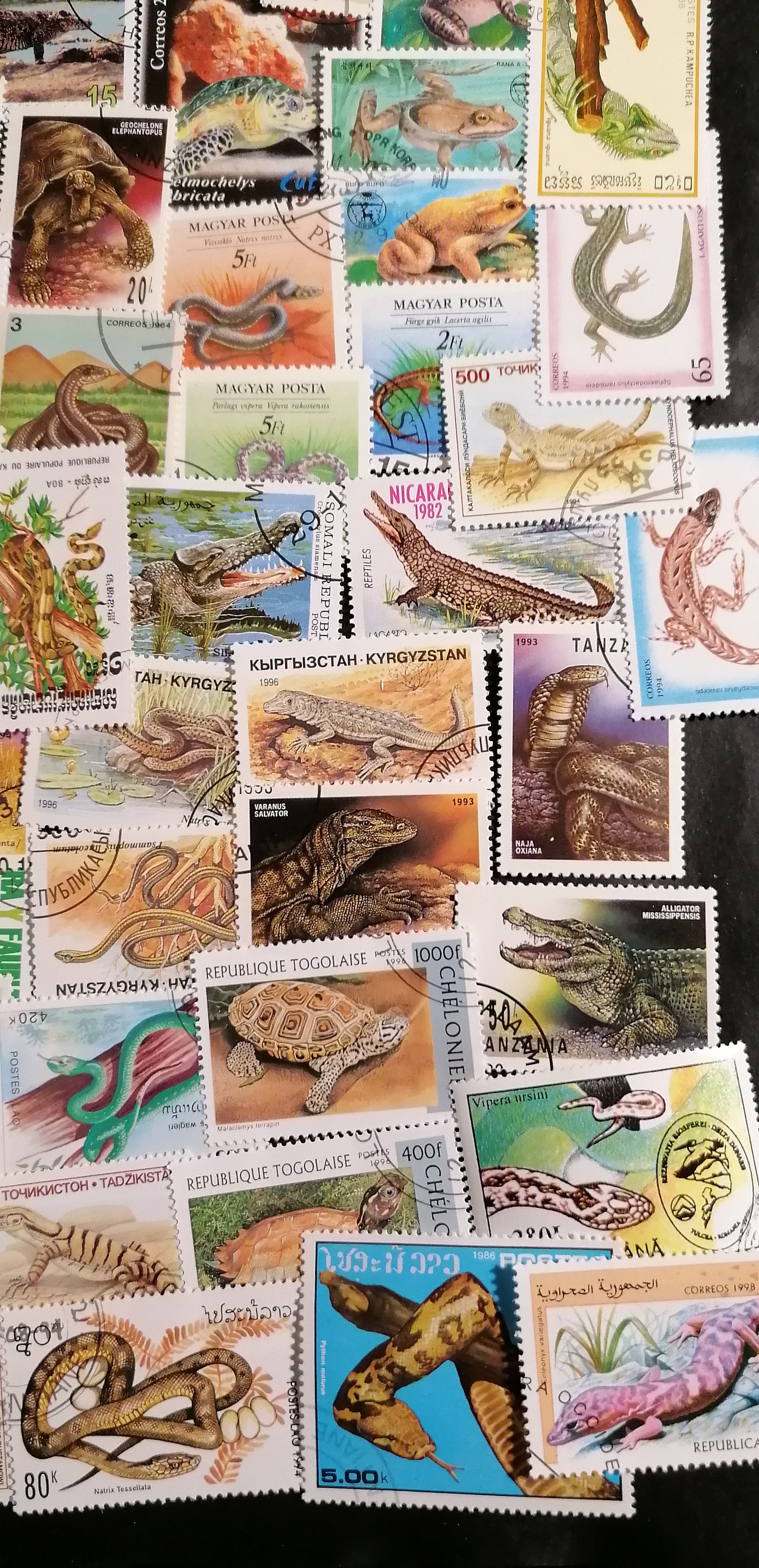 Postage Stamps. Reptiles, Snakes, Frogs Postage Stamps. World Mix ...