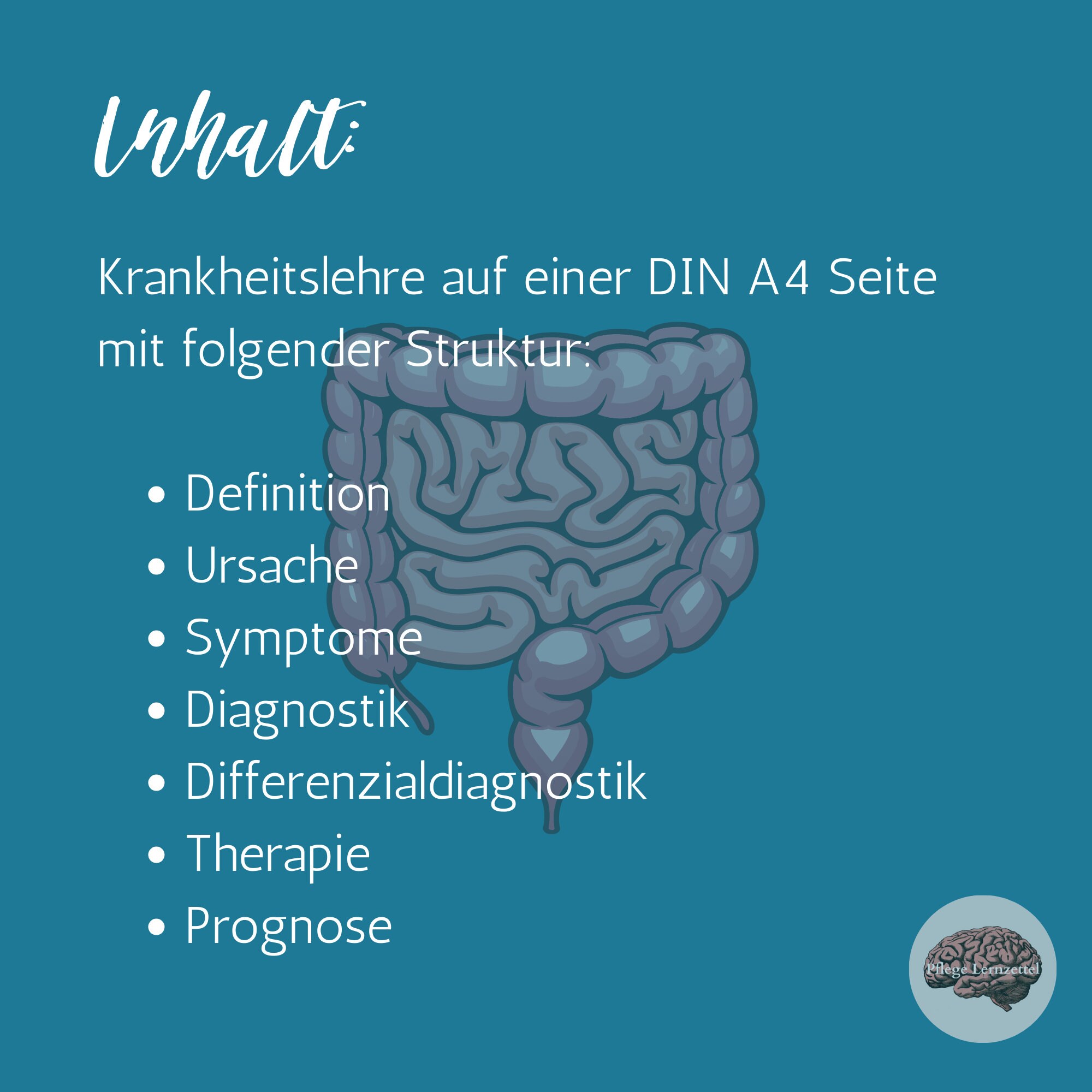Care Learning Sheet for Irritable Bowel Syndrome - Summaries of Content ...