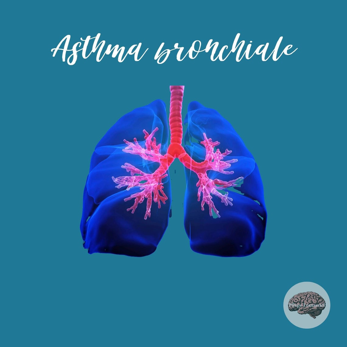 Pflege Lernzettel Asthma bronchiale - inhaltliche Zusammenfassungen ...