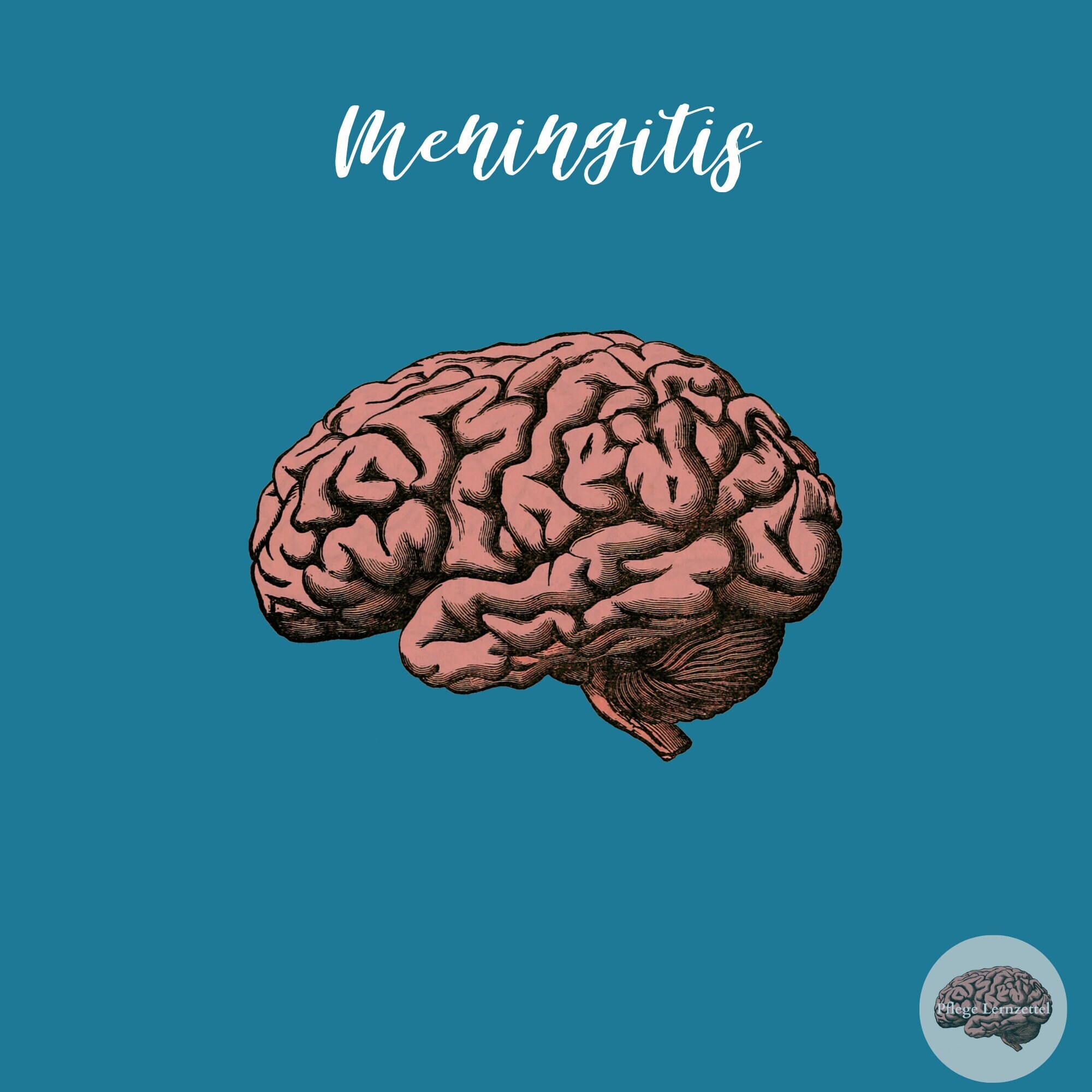 Care Learning Sheet for Meningitis Summaries of Content Learning Sheet for Nursing Training in ...