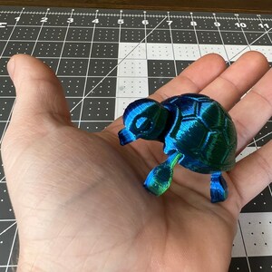 3D Printed Large Cute Baby Turtle - Articulated Head and Legs - Etsy