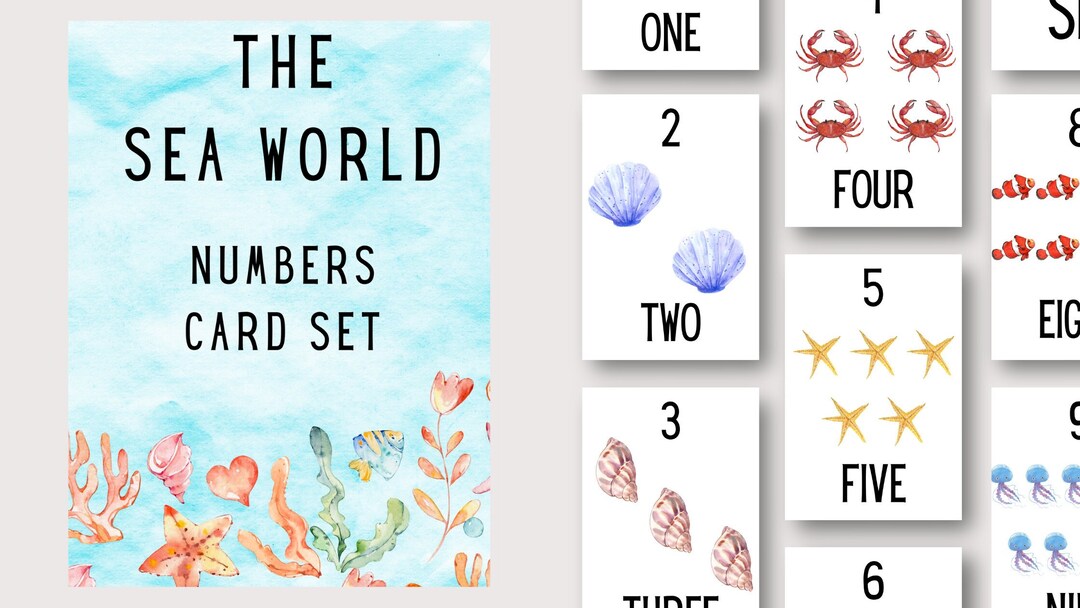 PRINTABLE Pre-school 1-20 Numbers Flash Cards | the Sea World ...