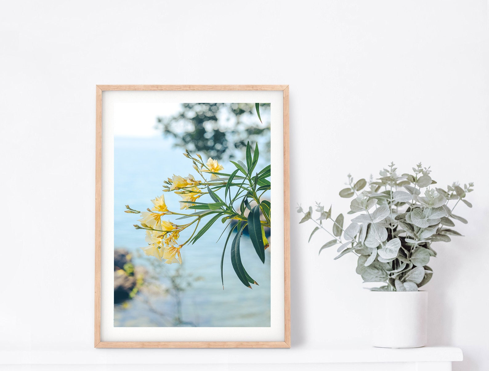Yellow Oleander Print Flowers Wall Art Oleander Wall Art - Etsy