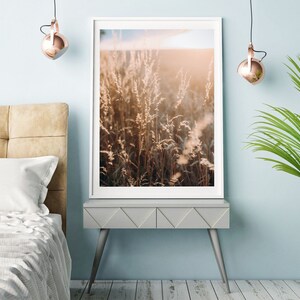 Dried Grass Print, Farmhouse Pampas Grass Print, Wild Grass Print ...