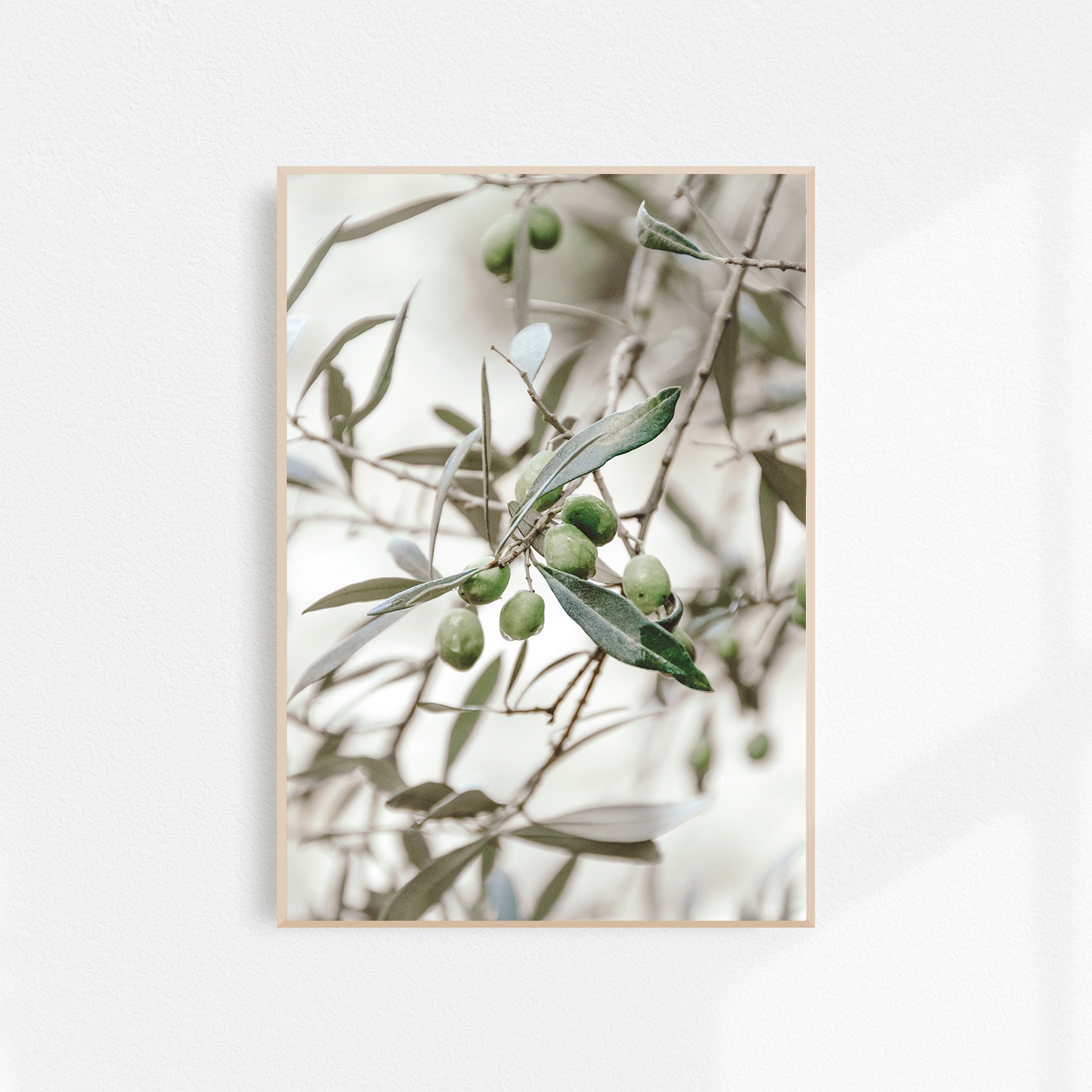 Olive Branch Botanical Print, Farmhouse Kitchen Decor (digital Download ...
