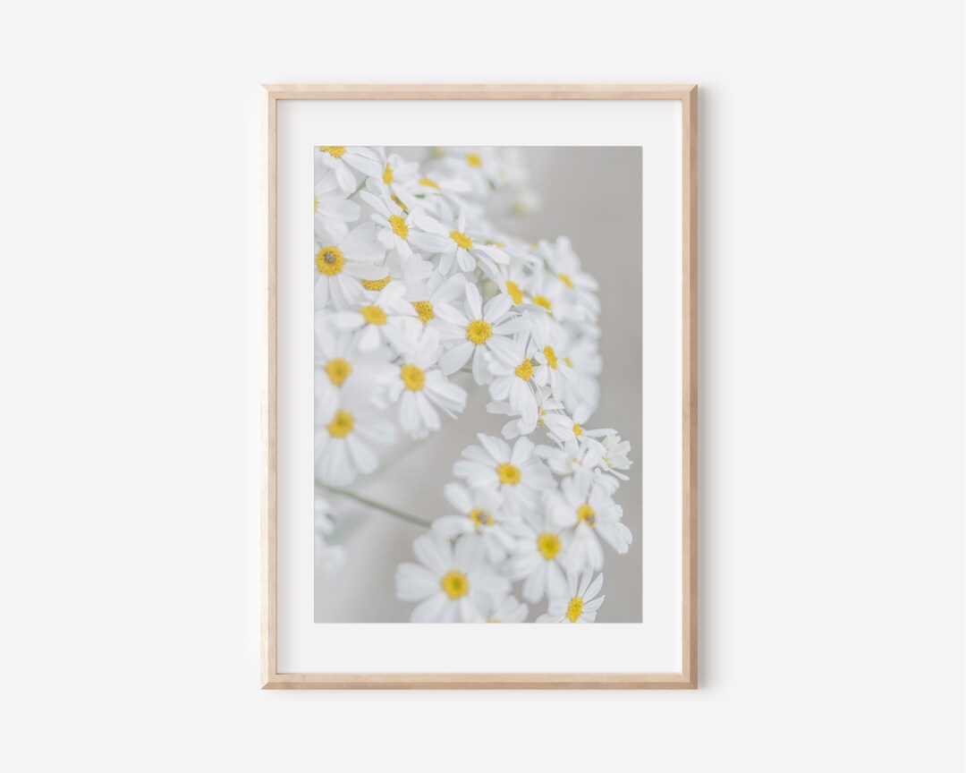 Daisy Spring Flowers Wall Art, Modern Botanical Print (digital Download ...