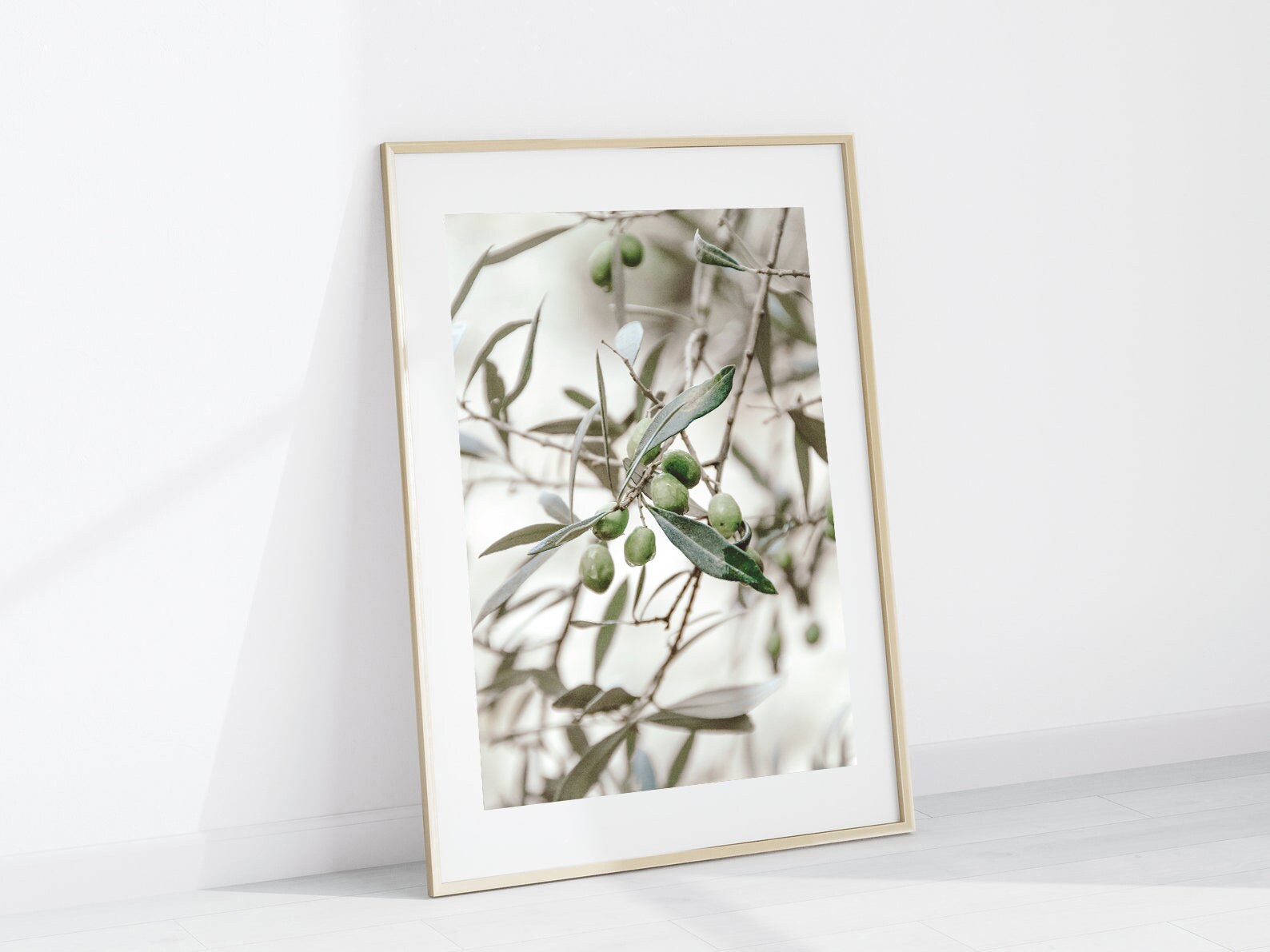 Olive Print, Botanical Print, Instant Download, Olive Tree, Plant ...