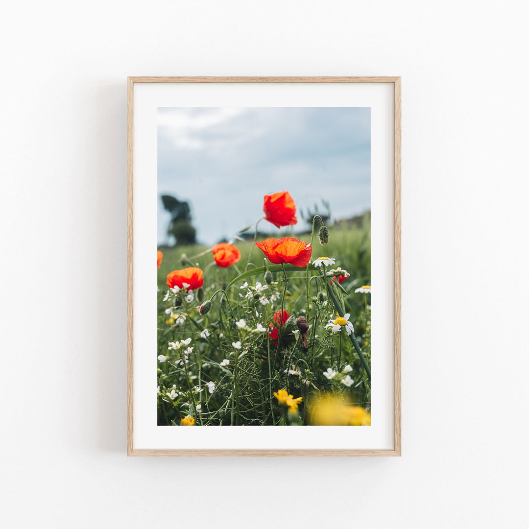 Red Poppies Poster, Flower Photography, Wildflowers Poster, Printable ...
