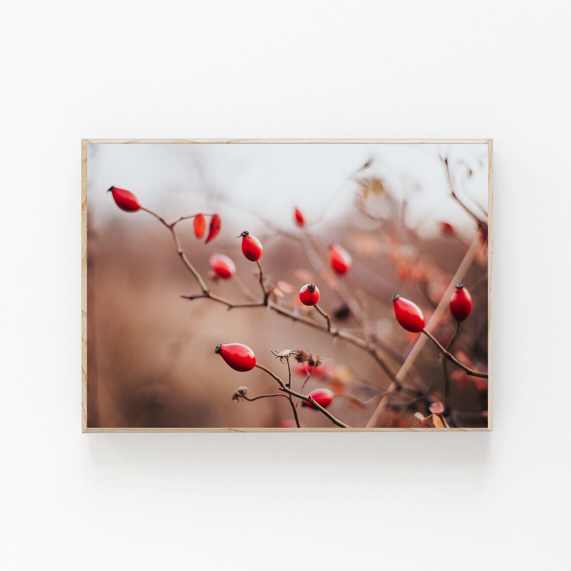 Rose Hips Fine Art Photography Print, Modern Minimalist (instant ...