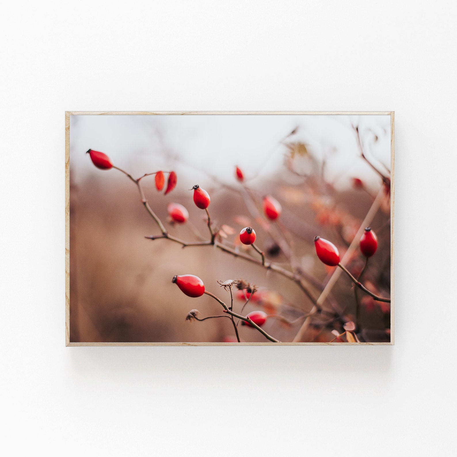 Rose Hips Fine Art Print, Printable Photography, Rose Hip Wall Art ...