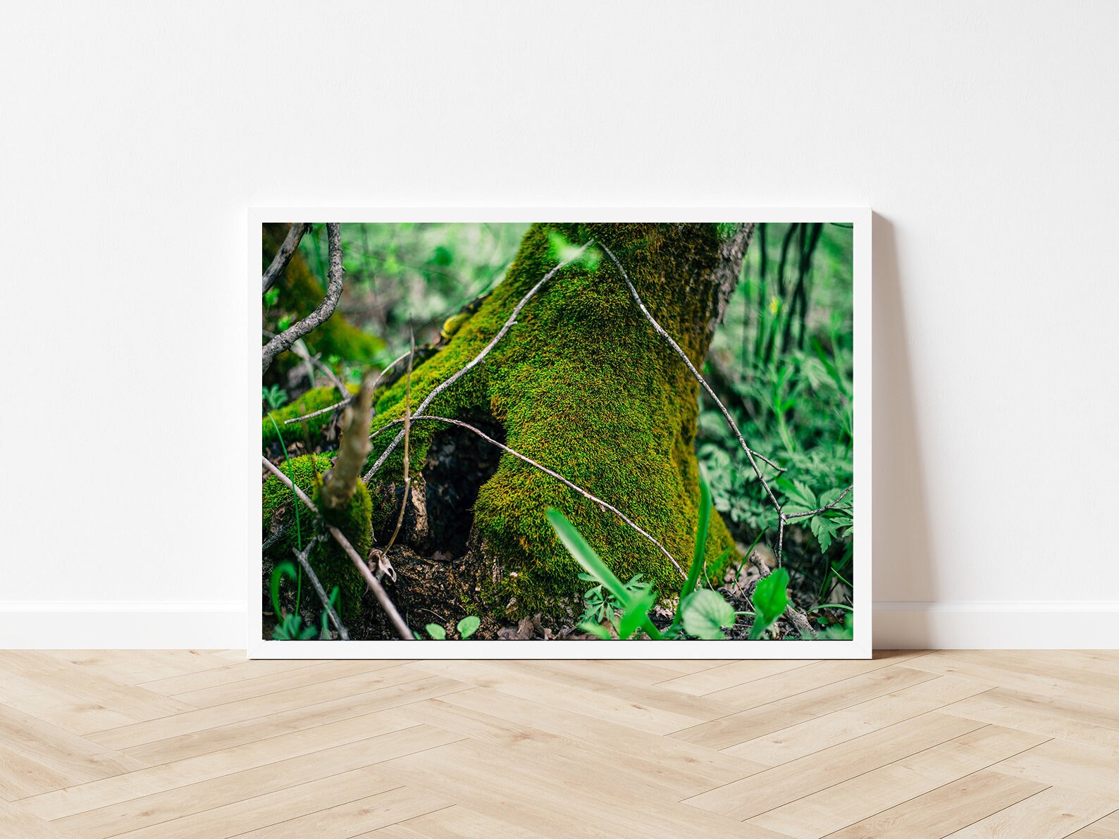 Green Moss Photography Print, Botanical Nature Art (digital Download ...