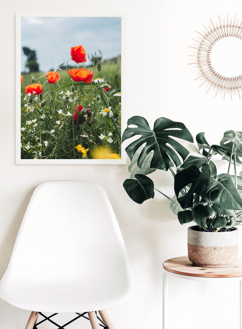 Red Poppies Photography Print, Wildflower Meadow (digital Download) - Etsy