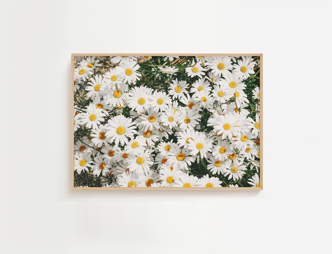 Daisy Flower Print, Botanical Wall Art, Minimalist Decor (digital ...