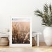 Dried Grass Print, Farmhouse Pampas Grass Print, Wild Grass Print ...