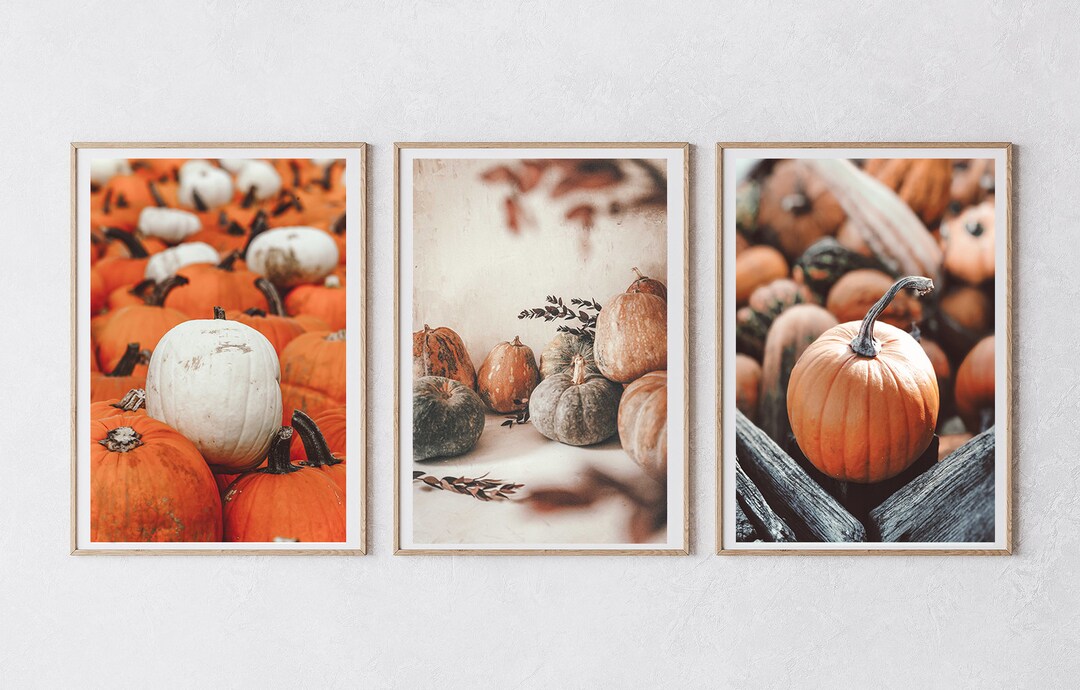 Set of 3 Pumpkin Prints, Fall Farmhouse Wall Art (digital Download) - Etsy