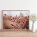 Rose Hips Fine Art Photography Print, Modern Minimalist (instant ...