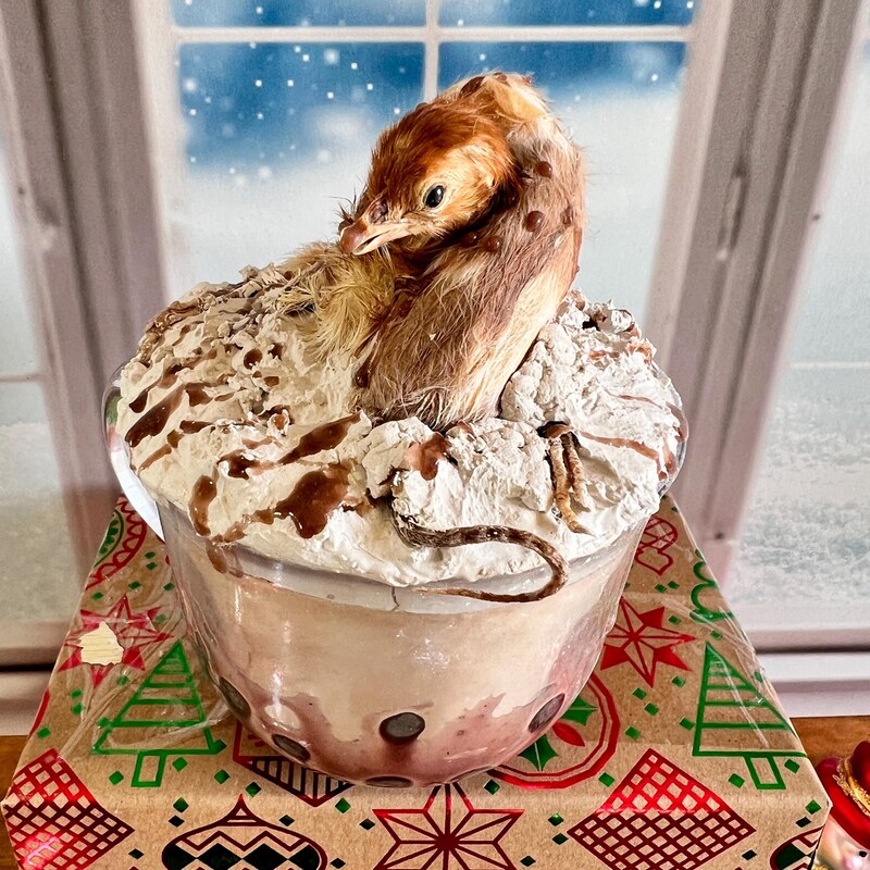 Weird Taxidermy - Etsy