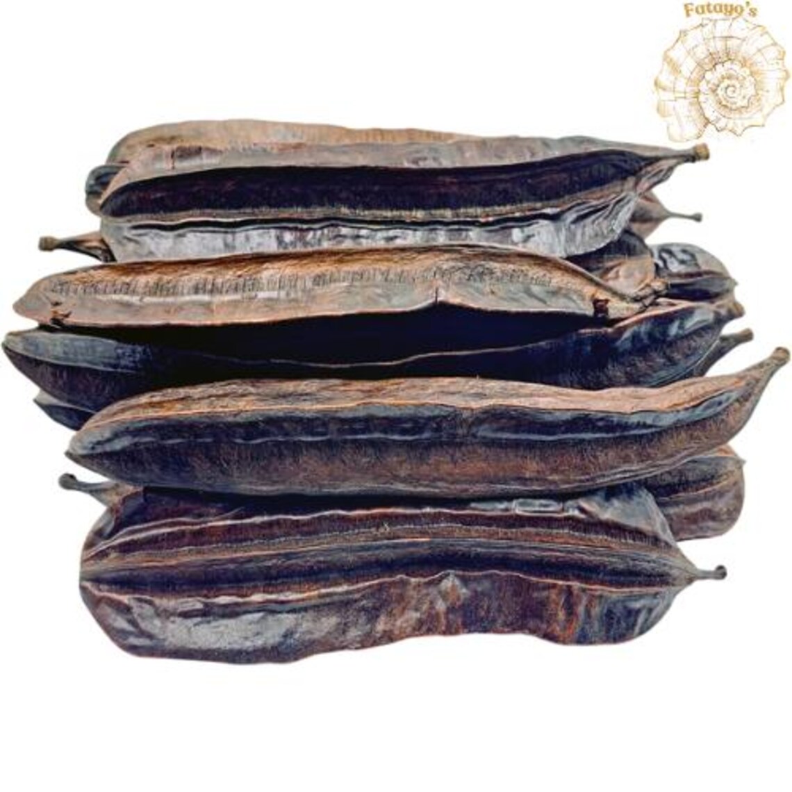 Prekese / Aidan Fruit / Tetrapleura Tetraplera / 2 Pieces / Uyayak ...
